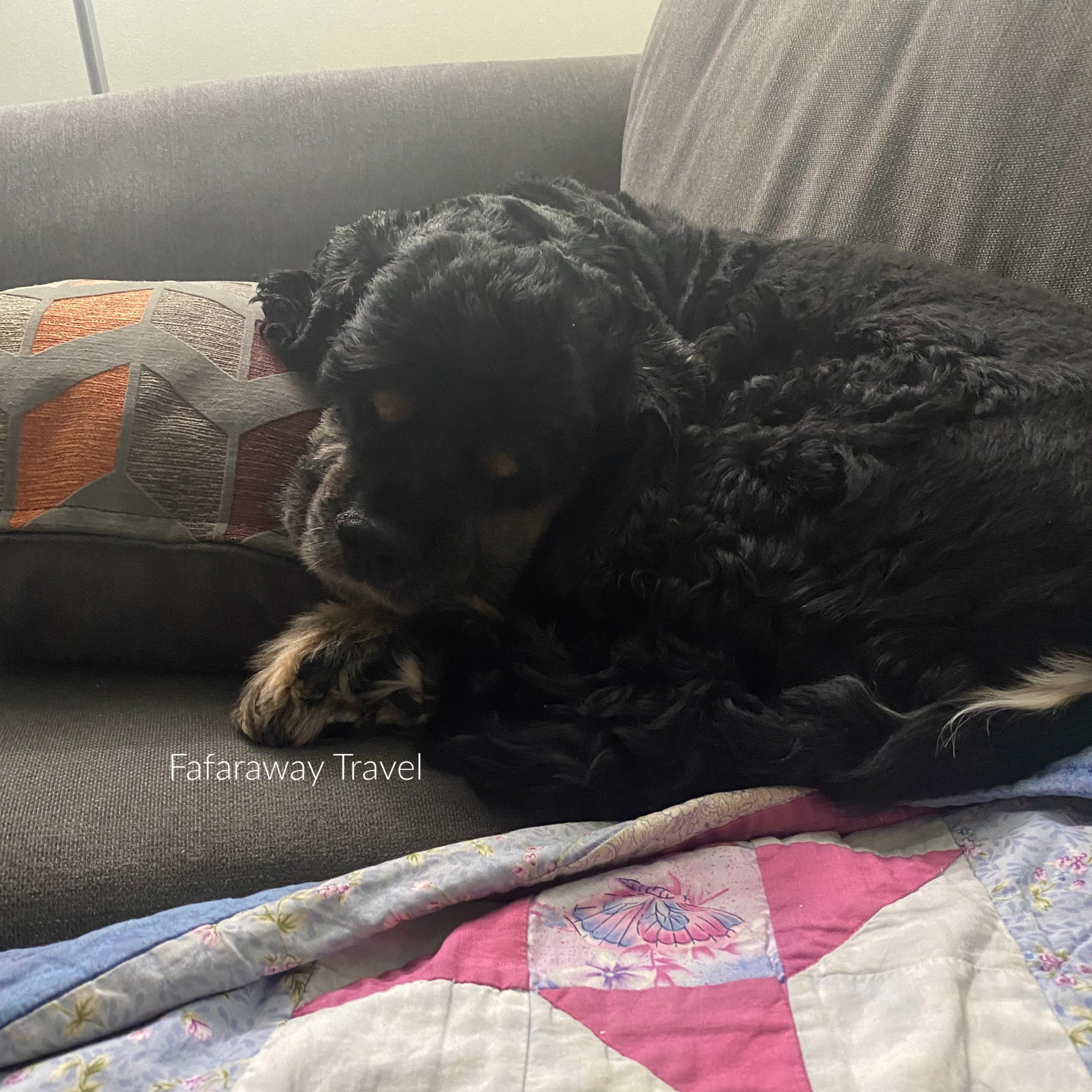 Traveling During Covid- A Pivot & A Plan - Fafaraway Travel